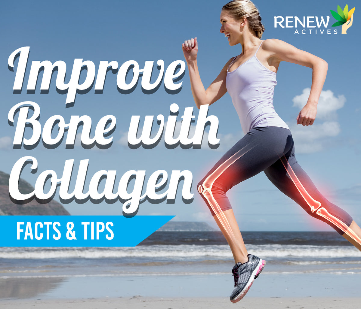 Improve Bone Health with Collagen – Renew Actives US