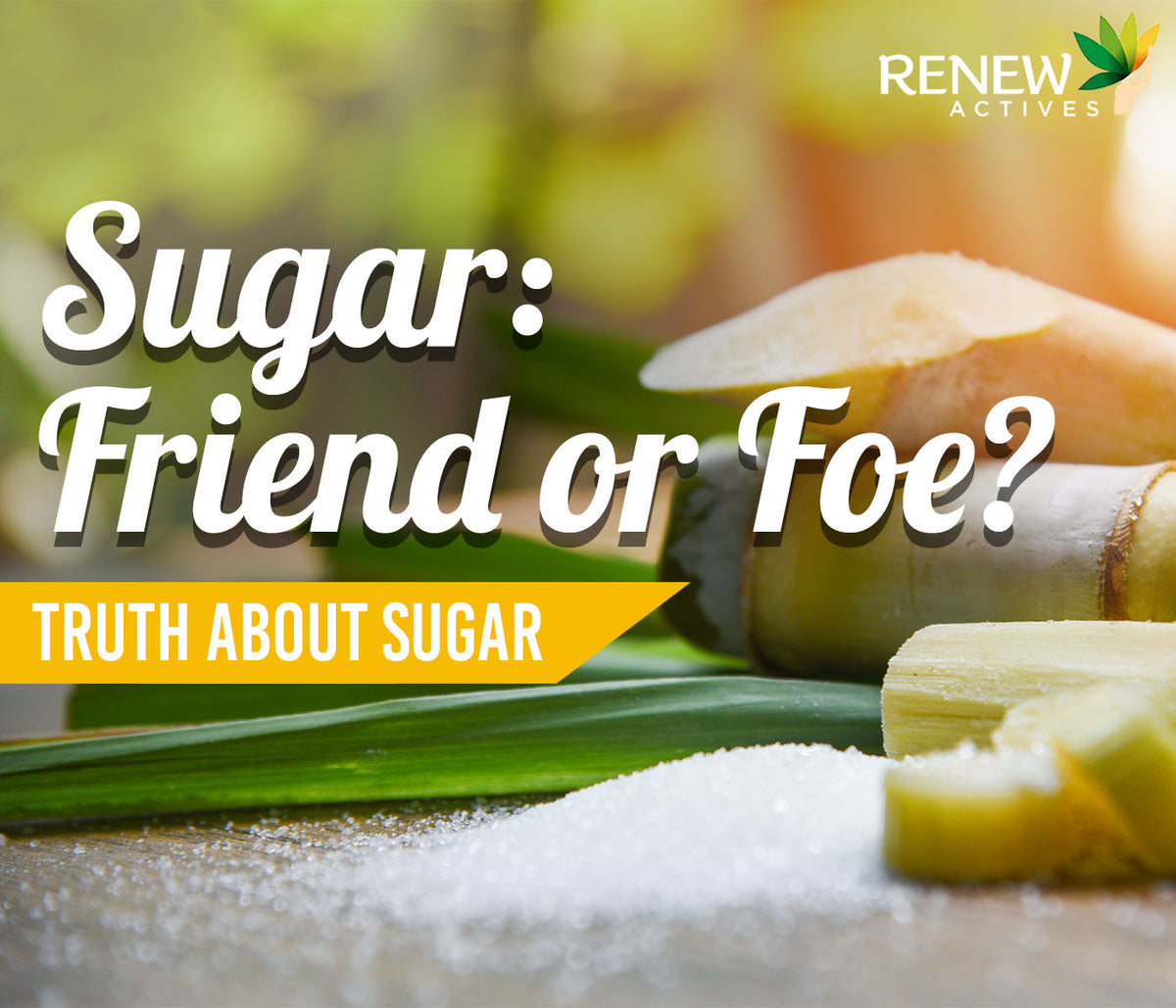 Sugar: Friend or Foe? – Renew Actives US