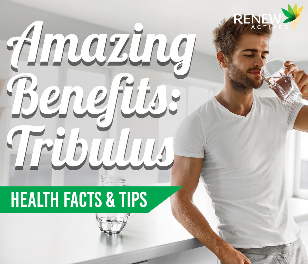 The Amazing Benefits of Tribulus Terrestris – Renew Actives US