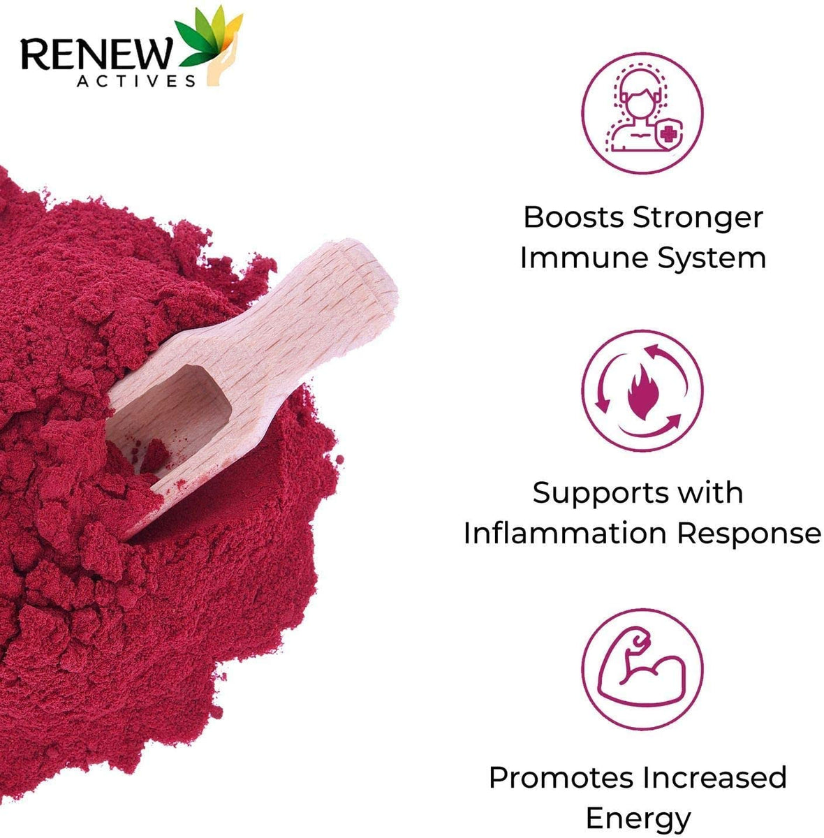 Organic Beetroot Powder Extract 1300mg – Renew Actives US